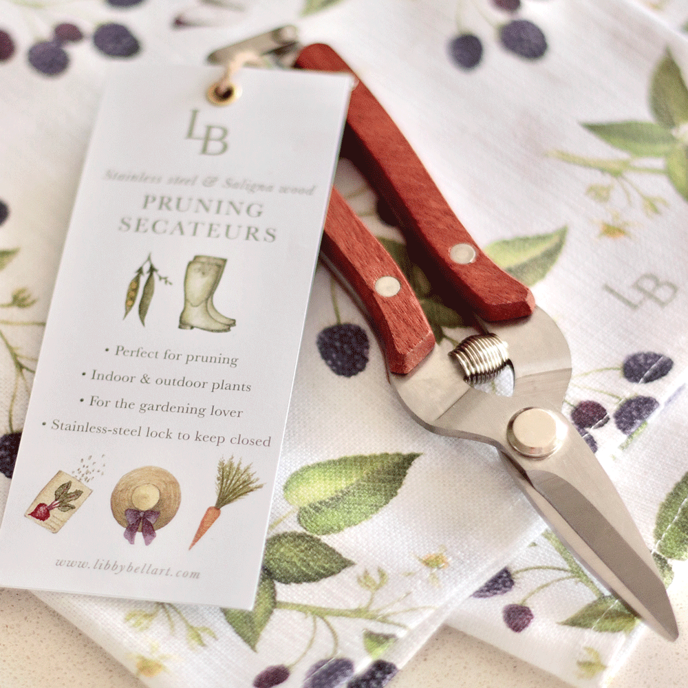 Workshops & Gift Vouchers – Libby Bell South Africa