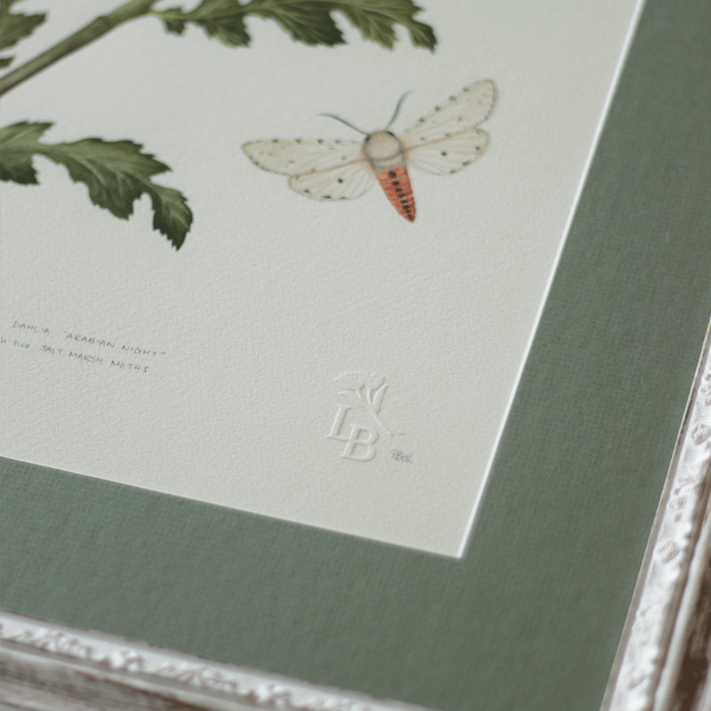 ORIGINAL PAINTINGS – Libby Bell South Africa