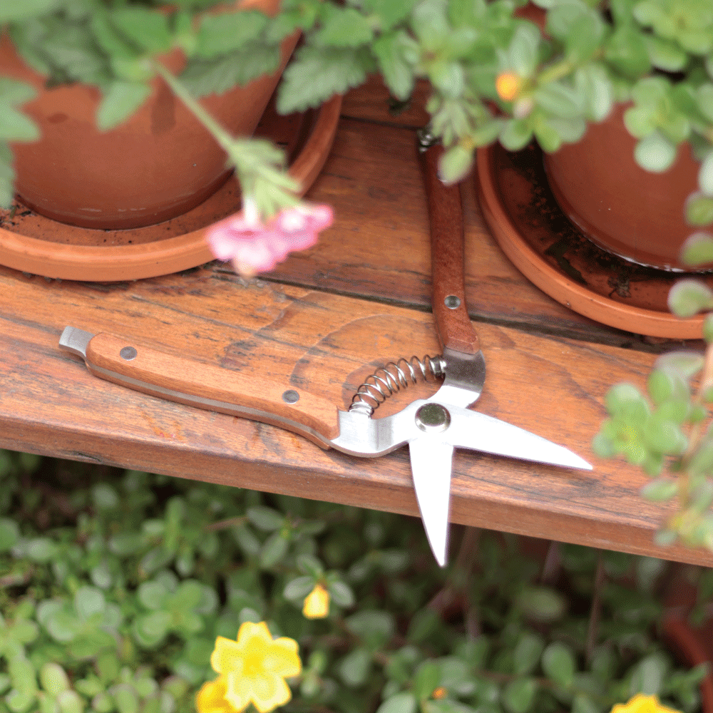 In the Garden – Libby Bell South Africa