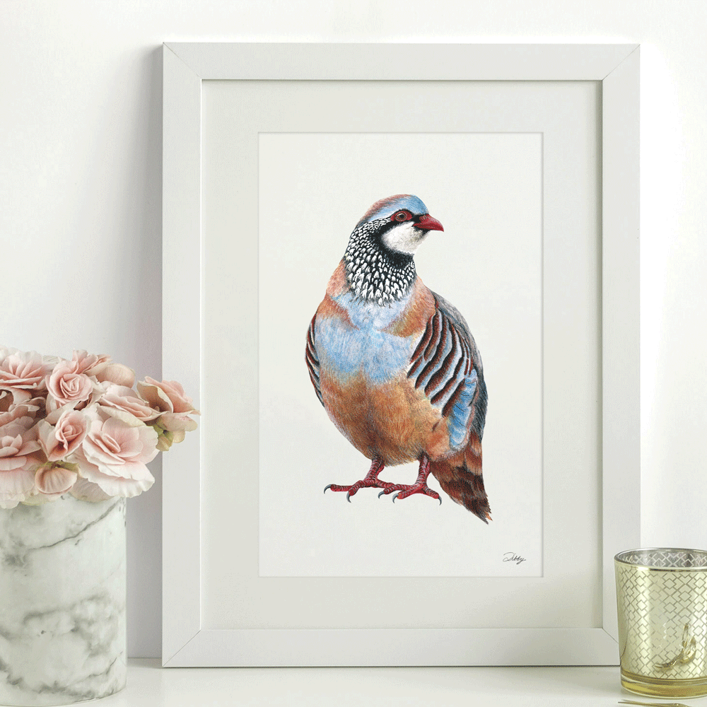 PRINTS – Libby Bell South Africa